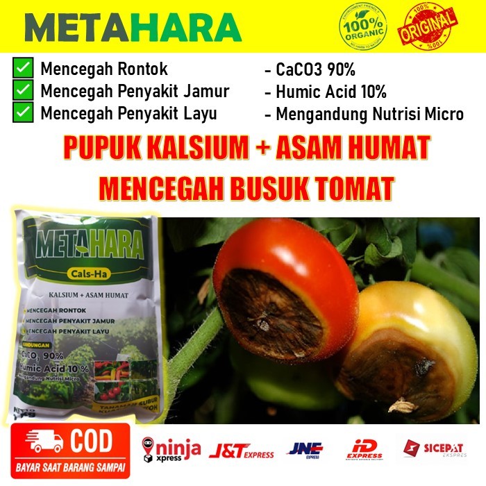 Jual metahara pupuk kalsium + asam humat pupuk mencegah busuk tomat - pupuk kalsium pelebat ...