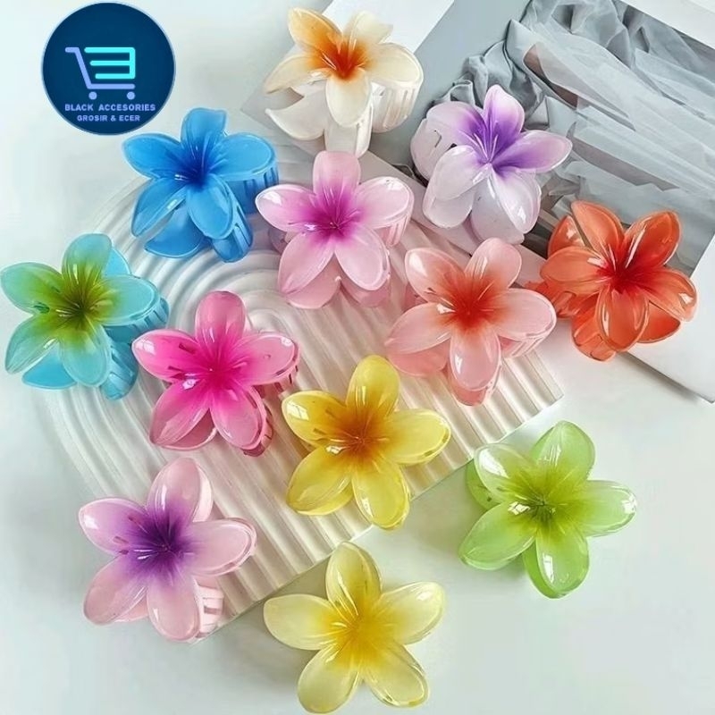 Jual JEPIT RAMBUT JEDAI KAMBOJA JUMBO WARNA ISI 12 PCS | Shopee Indonesia