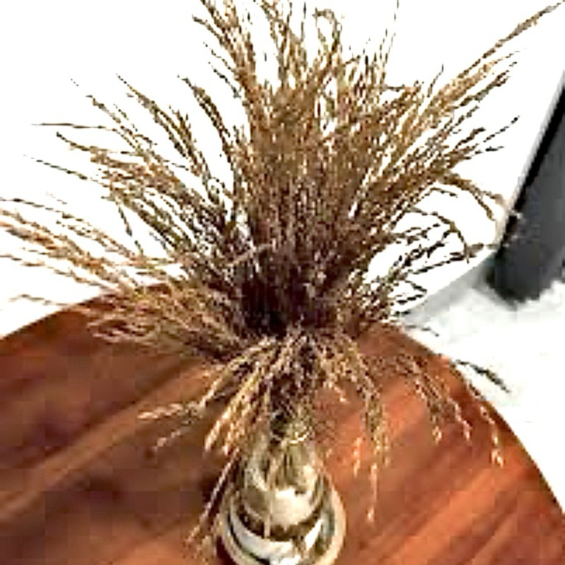 Jual Bunga Padi Kering Wheat Dried Flower - Hiasan Buket Bunga Kering ...