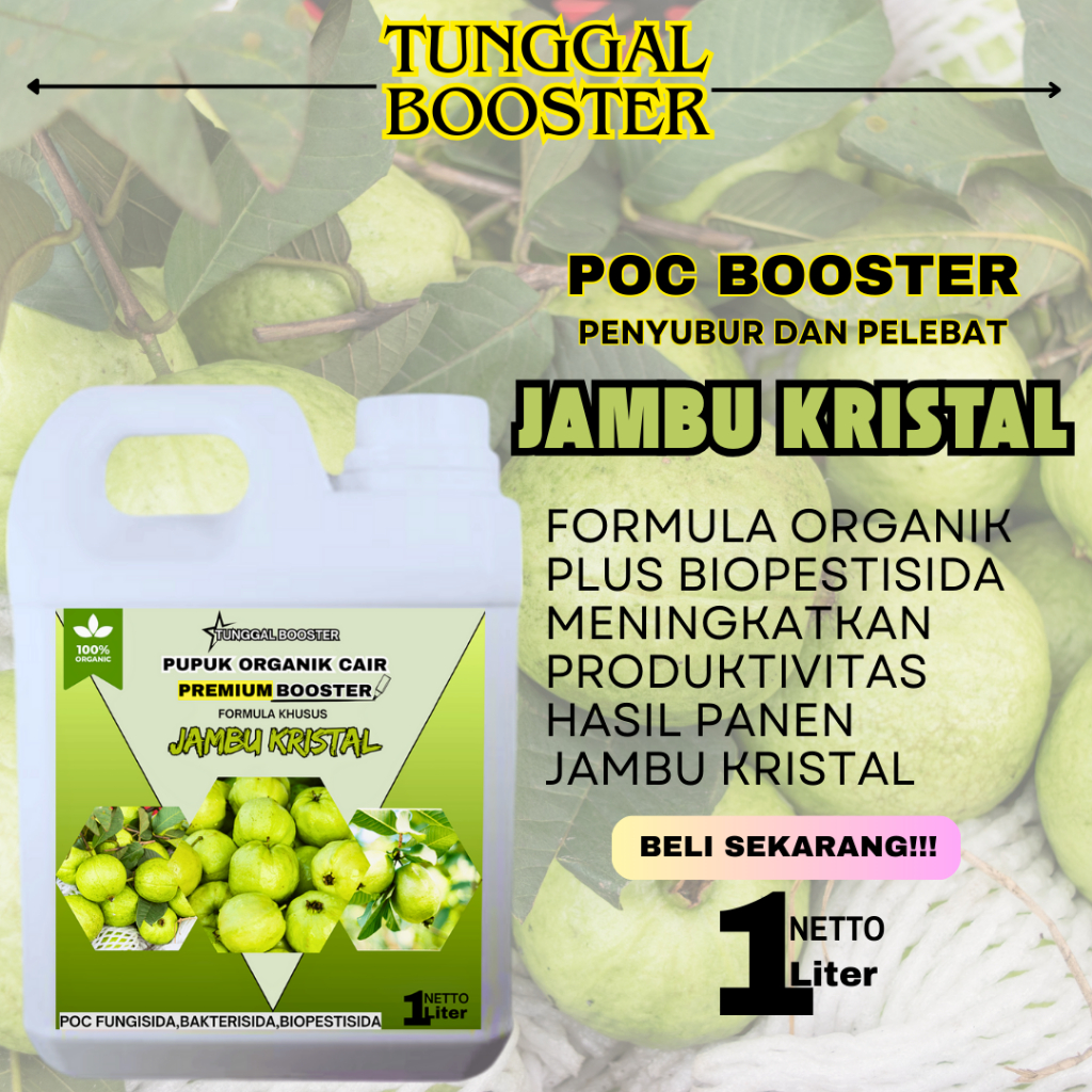 Jual Booster Organik Cair Tanaman Jambu Kristal premium 1LIter-POC ...