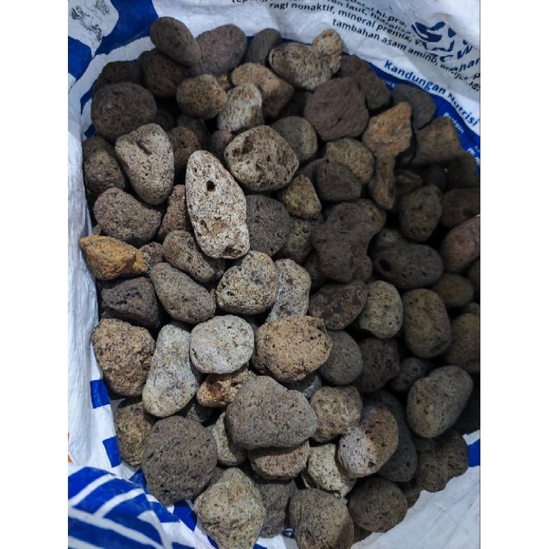 Jual Batu Apung Karungan Kemasan 20 Kg Batu Pumice Media Filter Kolam ...