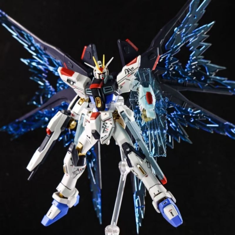 Jual Gaoke Xing Dong HGUC HG 1/144 Strike Freedom Revive Fighter Model ...