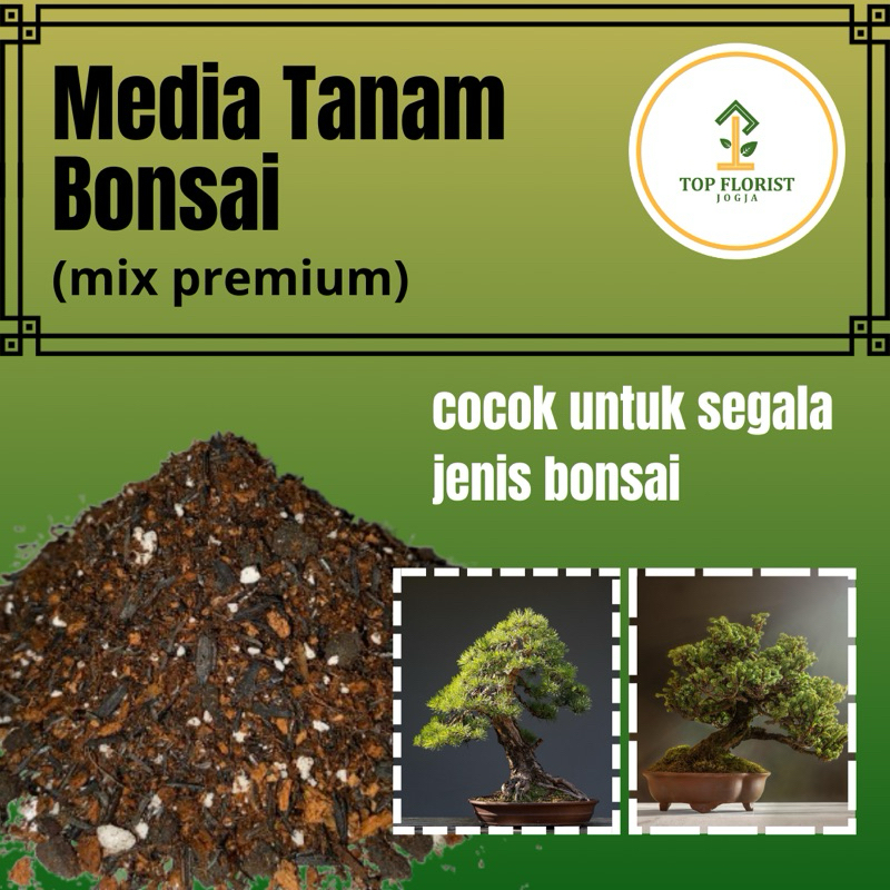 Jual Media Tanam Bonsai Premium Bonsai Mix Premium Metan Husus Bonsai | Shopee Indonesia