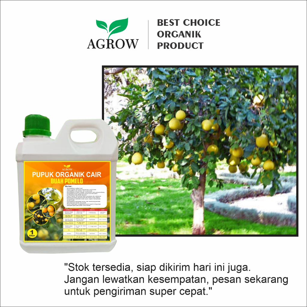 Jual booster tanaman untuk buah pomelo 1liter | Shopee Indonesia