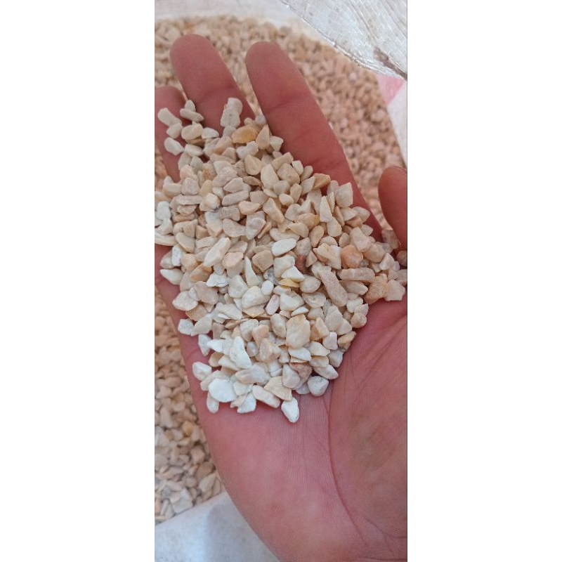 Jual Batu krikil putih 1kg/Batu akik putih/Batu putih/Batu hias pot ...