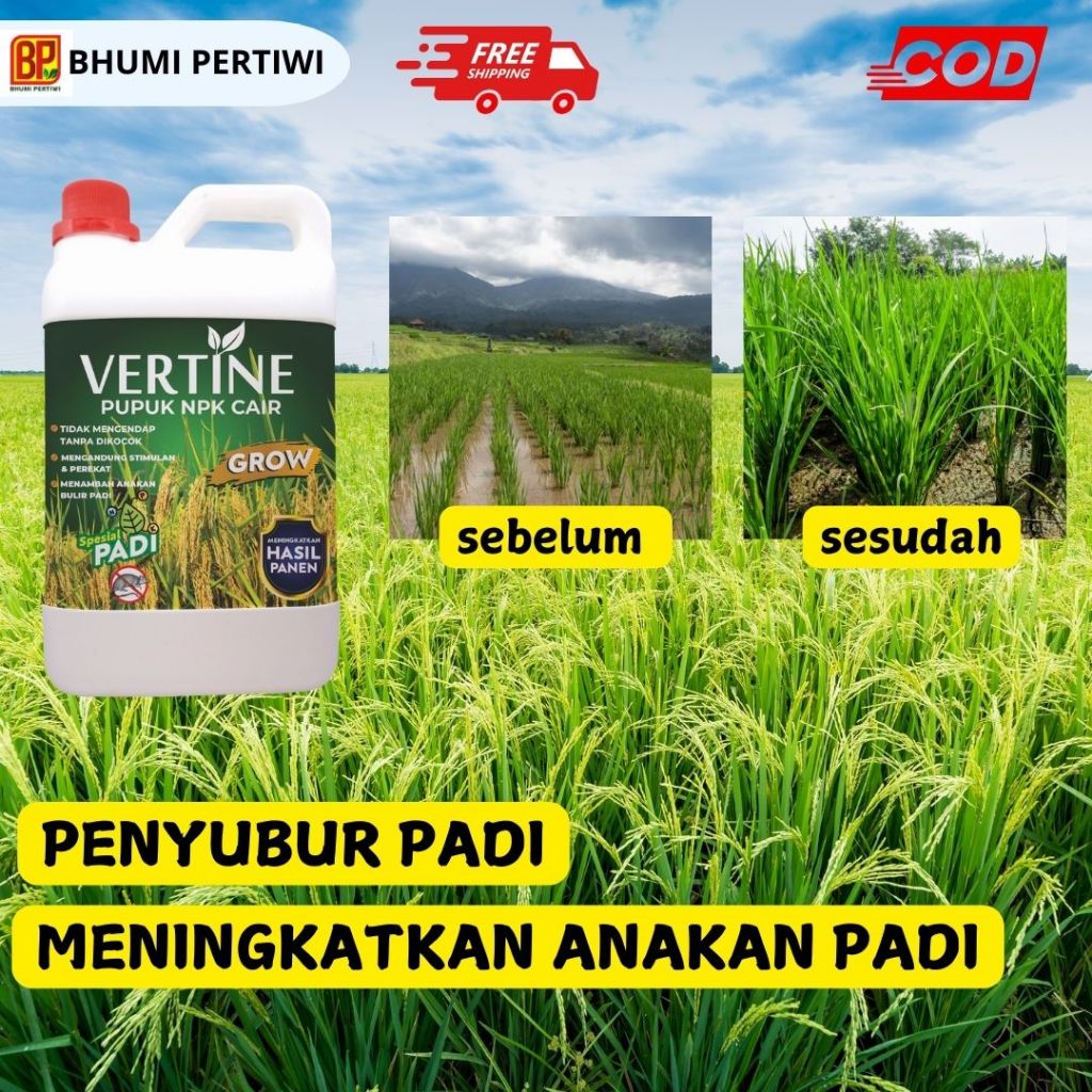 Jual Vertine Grow Special Pupuk Pelebat Anakan Padi + Zpt Anti jamur Penambah Anakan Padi Dan ...