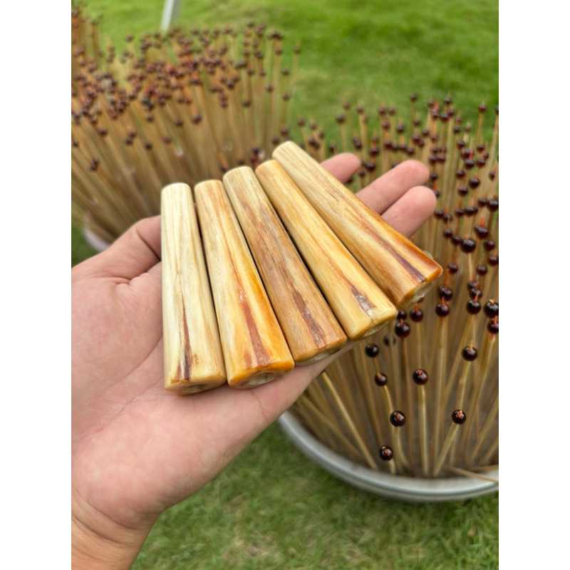 Jual once moncong marlin 8cm super tebel padet asli 100% alami | Shopee ...