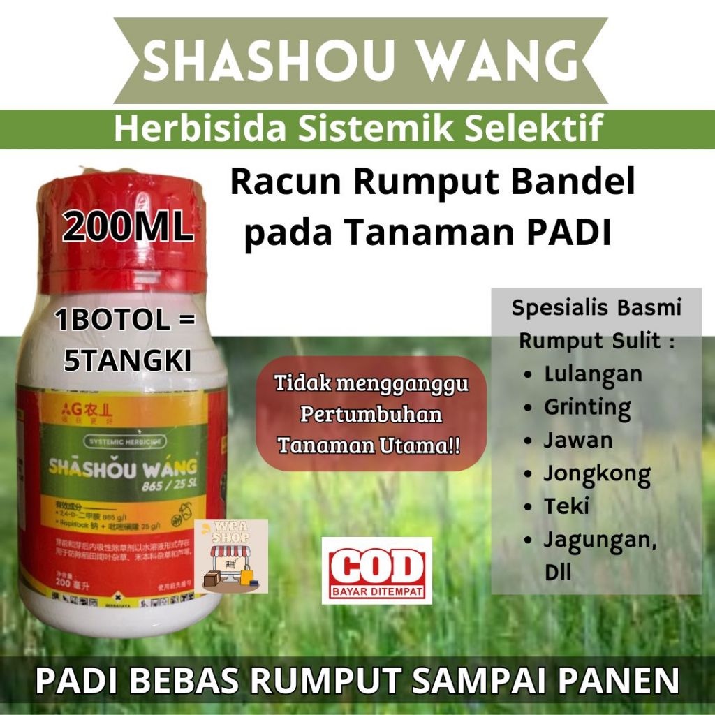 Jual Shashou Wang Herbisida Sistemik Selektif Pembasmi Rumput Liar ...