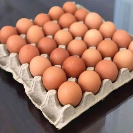 Jual Telur Ayam Grade A Bersih & Segar - 1 Piring (30 Butir) | Shopee ...