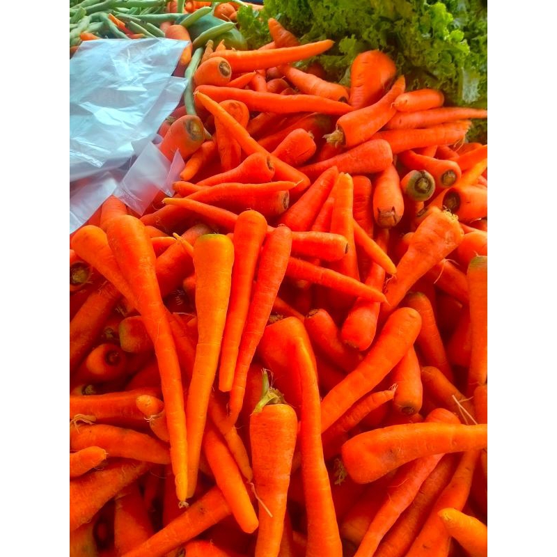 Jual Wortel manis lokal mini 1 kg | Shopee Indonesia