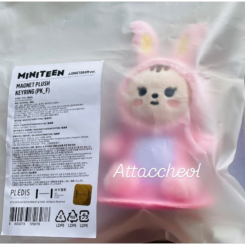 Jual Keyring Magnet Plush Miniteen Jjongtoram Official Jeonghan Doll ...