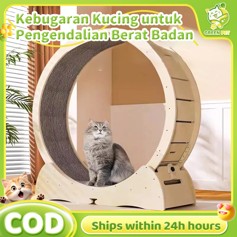 Jual Kucing Treadmill Roda Lari Senyap Latihan Kebugaran Hewan ...