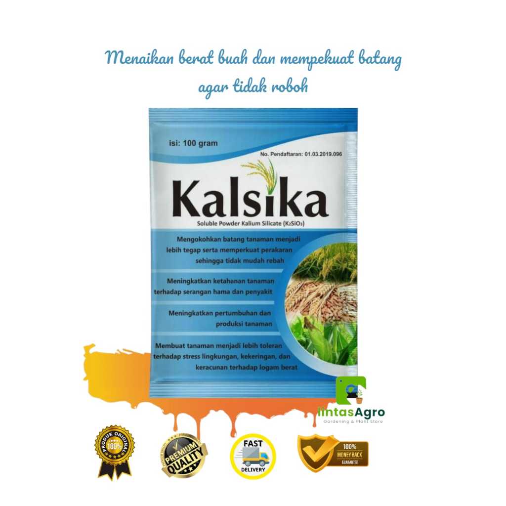 Jual Nutrisi Kalsika 100 Gram Kalsium Silika penambah berat buah dan ...