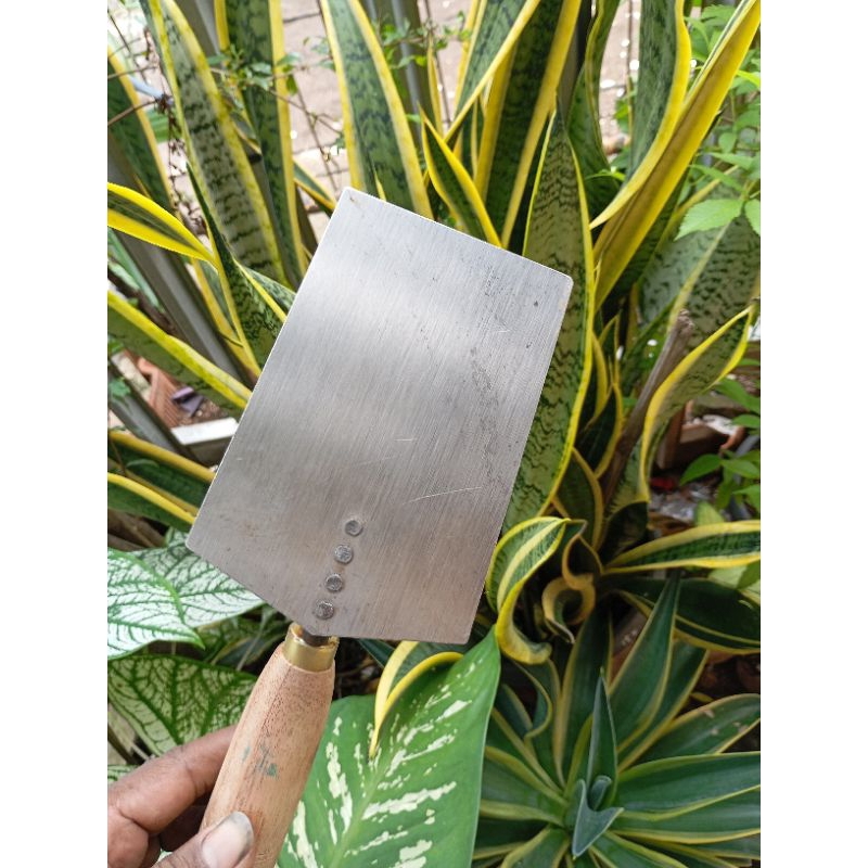 Jual Cetok Semen Galur Asli kotak 15cm keling 4 paku baja asli | Shopee ...