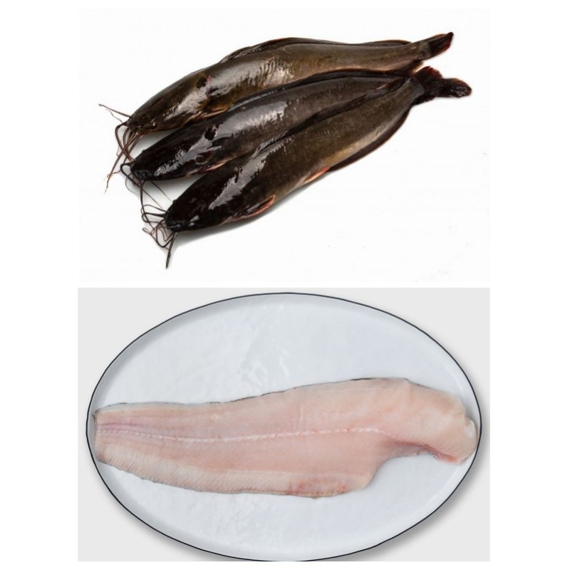 Jual Ikan Lele Fillet Segar | Ikan Lele Fillet Bumbu Kuning MPASI non ...