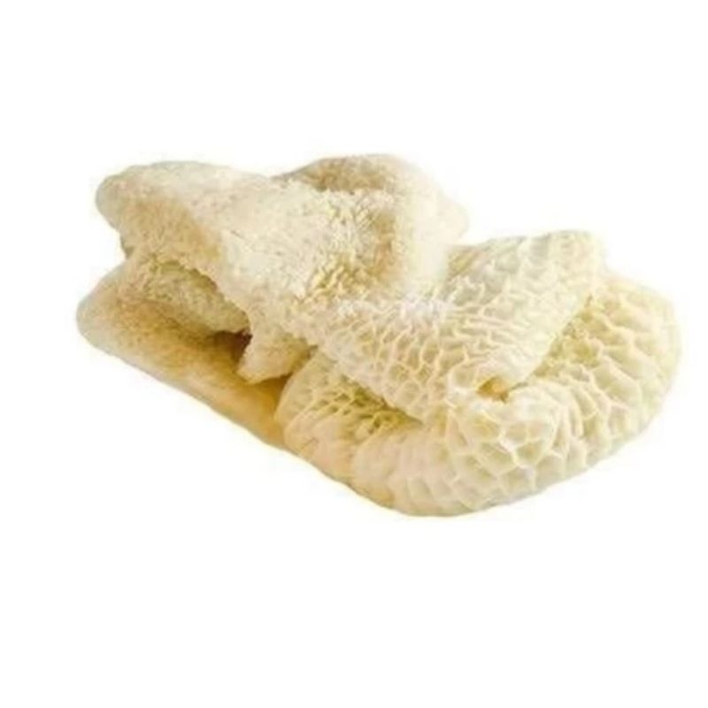 Jual babat putih babat sapi 500g | Shopee Indonesia