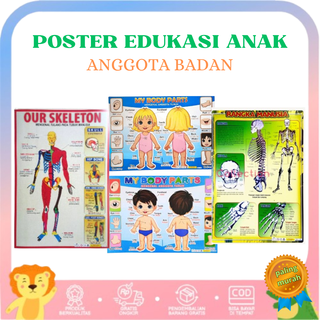 Jual Poster Dinding Edukasi Anak Belajar Mengenal Anggota Badan Satuan ...