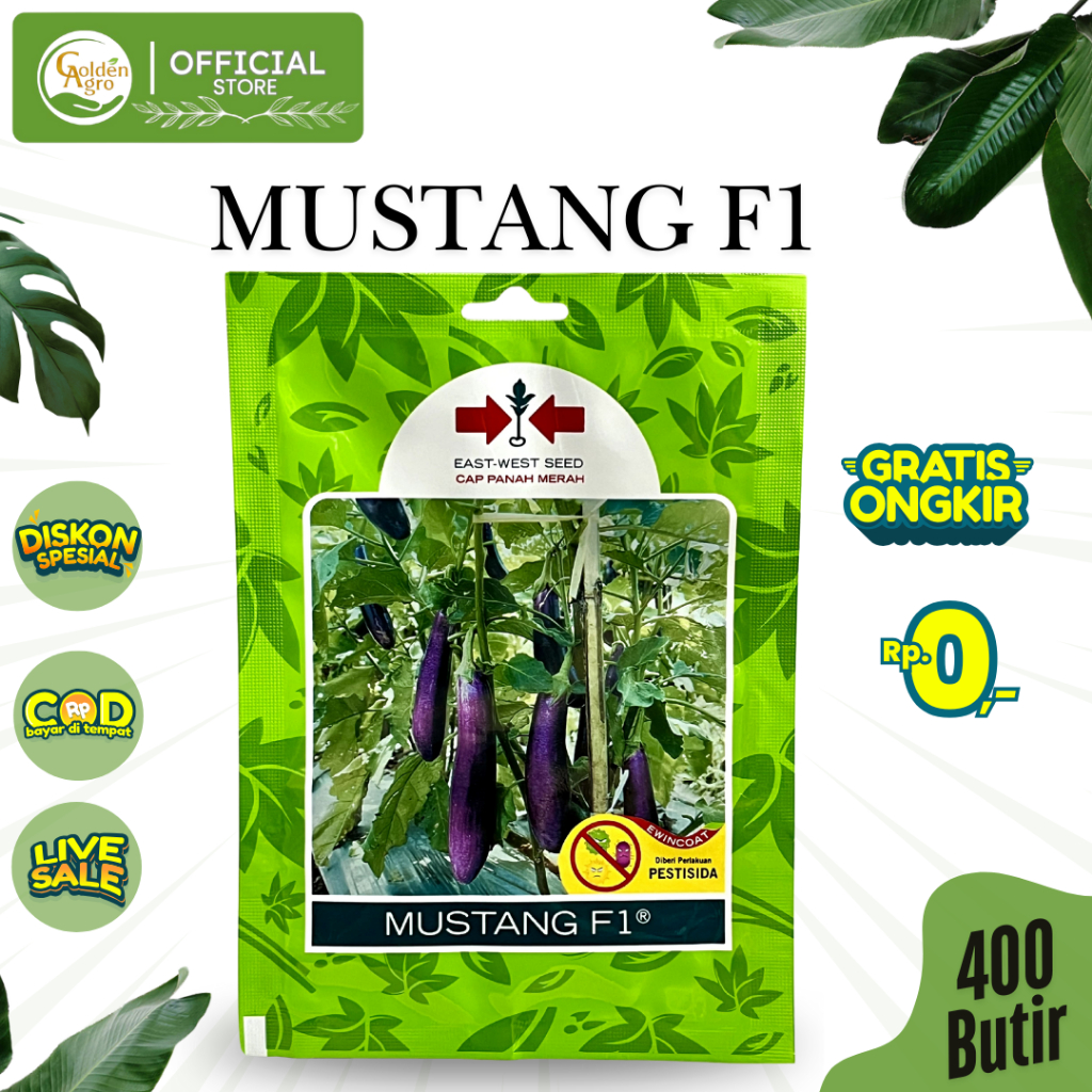 Jual BENIH BIBIT TERONG MUSTANG F1 400 BUTIR BIJI TERUNG | Shopee Indonesia