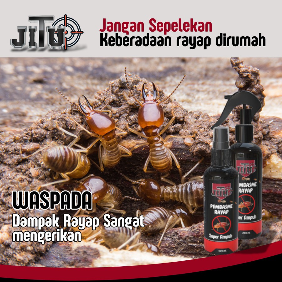Jual Obat Rayap Kayu Super Ampuh Basmi Rayap Sampai ke Sarangnya ...