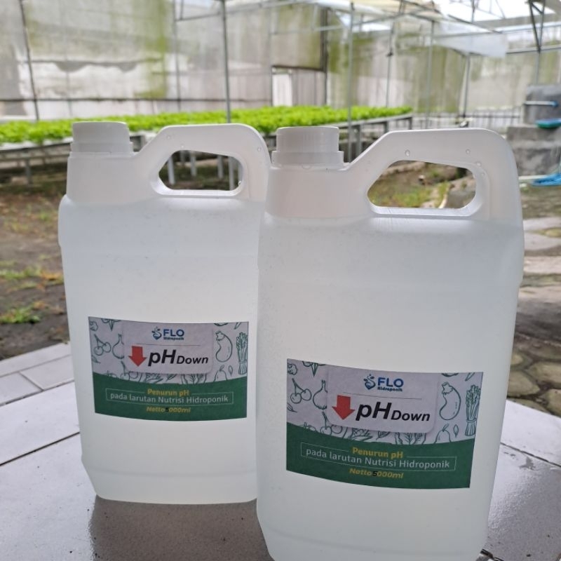 Jual pH Down 5 Liter by Flo Hidroponik, Cairan Penurun pH nutrisi pada tanaman hidroponik ...