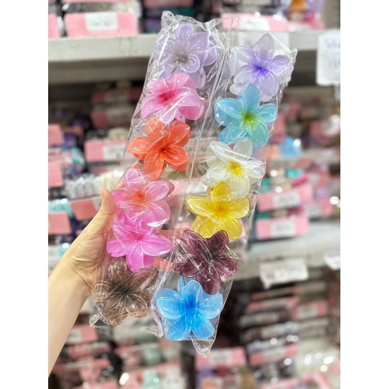 Jual JEPITAN BUNGA KAMBOJA PERPACK ISI 6 JEDAI KAMBOJA 8CM | Shopee ...