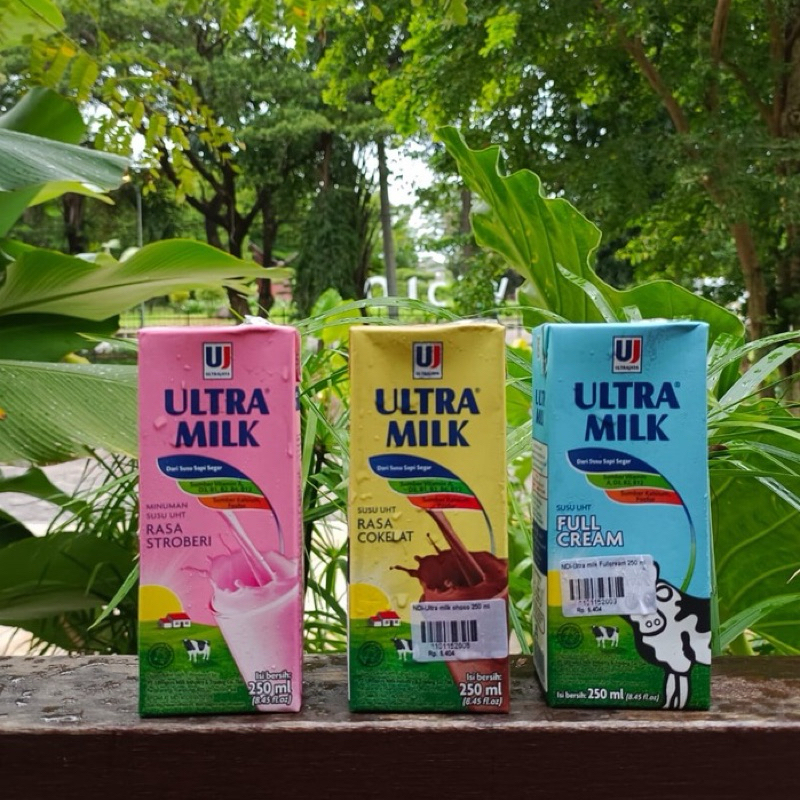 Jual SUSU ULTRA MILK UHT 250 ML - 1 DUS | Shopee Indonesia