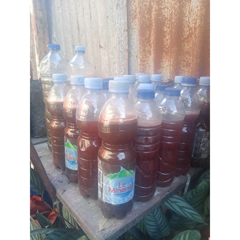 Jual pupuk PSB (Photosynthetic Bacteria) 600 ml dijamin asli tanpa ...
