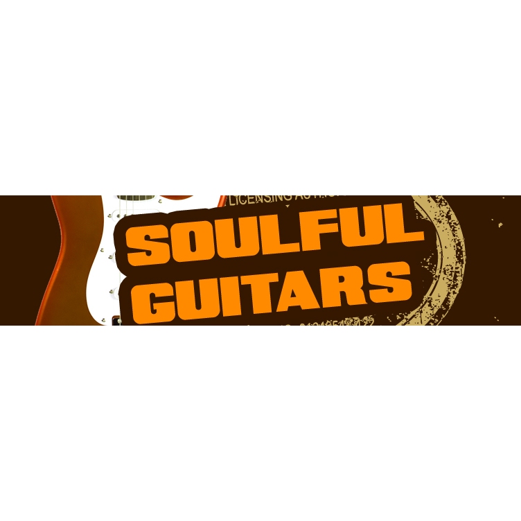 Jual Future Loops - Soulful Guitars (WAV) sample pack | Shopee Indonesia