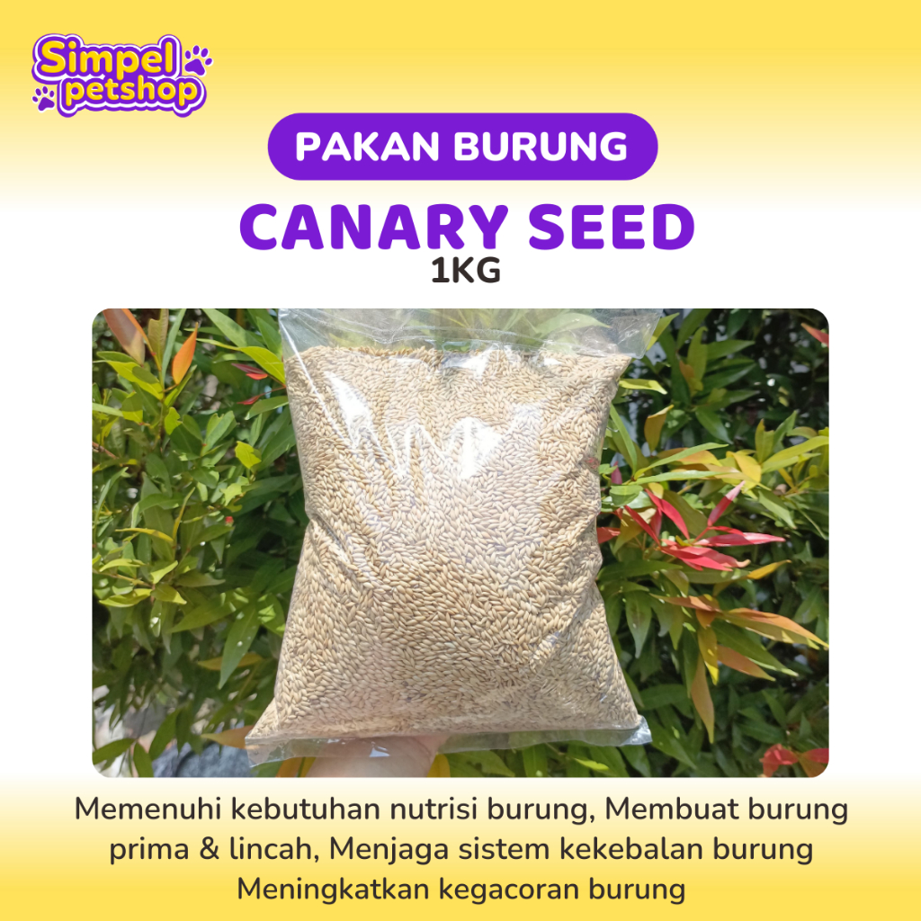 Jual Canary Seed 1kg - Kenari Seed/Biji Kenari/Pakan Burung Makanan ...