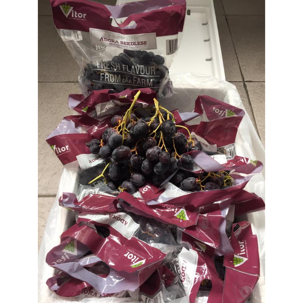 Jual Anggur Australia 1 Dus 9 KG Fresh Import | Shopee Indonesia
