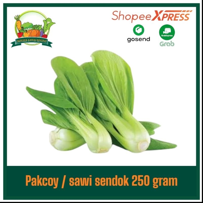 Jual Pakcoy sawi sendok segar - KIRIM INSTAN | Shopee Indonesia