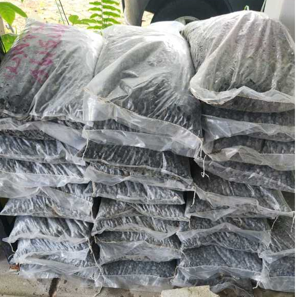 Jual Batu Alor 10 KG / Batu Koral (Batu Alam Koral Sikat Hias Taman ...