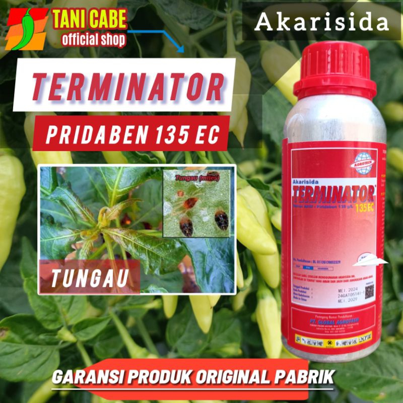 Jual AKARISIDA TERMINATOR 500 ML BASMI TUNGAU DAN KERITING CABE ...