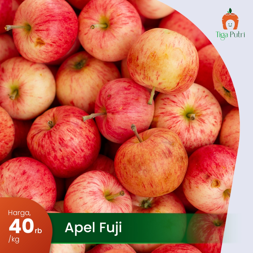 Jual BUAH APEL FUJI SEGAR 1Kg | Shopee Indonesia