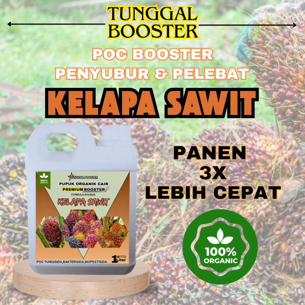 Jual Pupuk Organik Cair Tanaman Kelapa Sawit Premium1Liter-Booster Pelebat dan Perangsang Kelapa ...