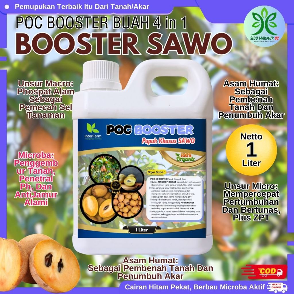 Jual Pupuk Organik Cair Buah Sawo | Booster Buah Sawo Lebat & Pemanis Alami | POC Booster Super ...