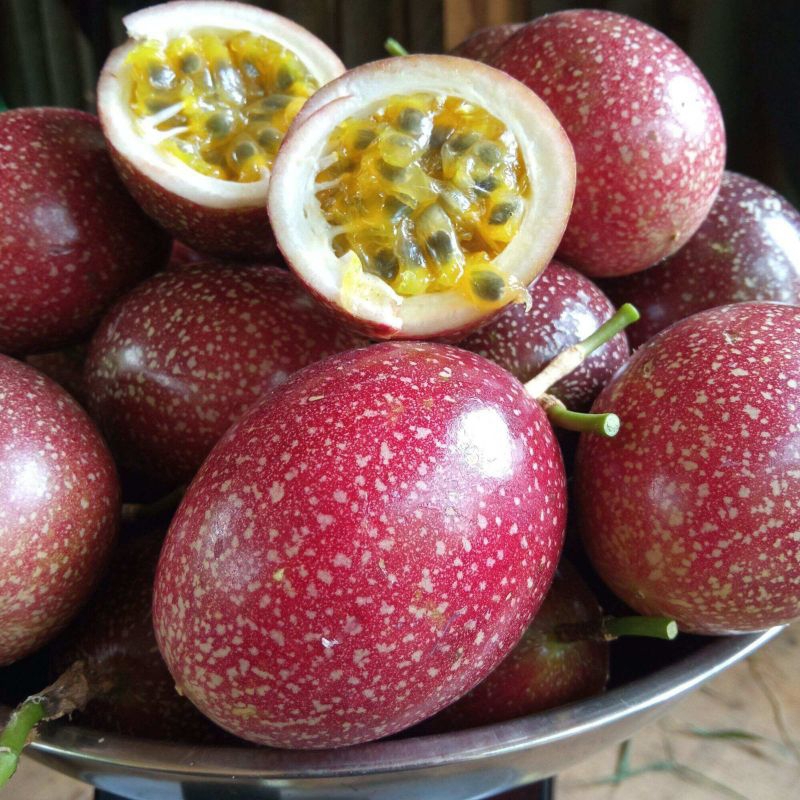 Jual buah markisa merah mix kuning 1kg | Shopee Indonesia