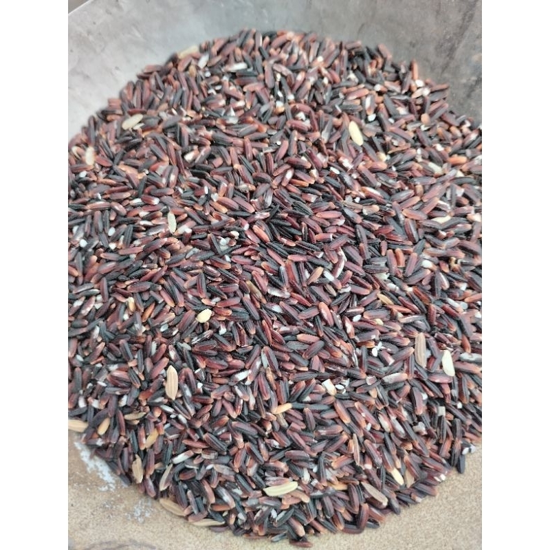 Jual ketan hitam untuk pakan burung perkutut dan burung pemakan biji ...