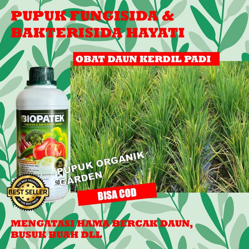 Jual FUNGISIDA BIOPATEK Obat Padi Kerdil Daun Kening Terbaik, Obat Padi Daun Kuning/Virus Kuning ...