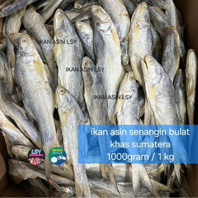 Jual ikan asin senangin bulat khas sumatera 1000gram / 1 kg | Shopee ...