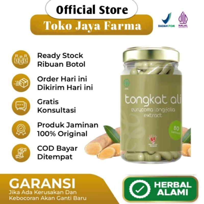 Jual TONGKAT ALiI CAPSULE EXTRA - Testostenore Booster - Helps Bulid ...