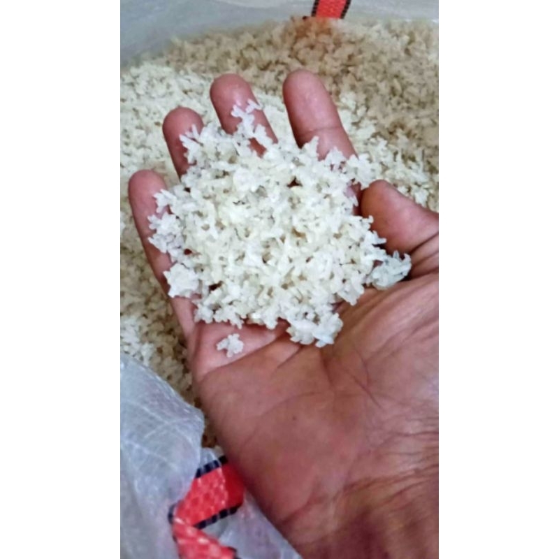 Jual nasi kering/nasi aking | Shopee Indonesia