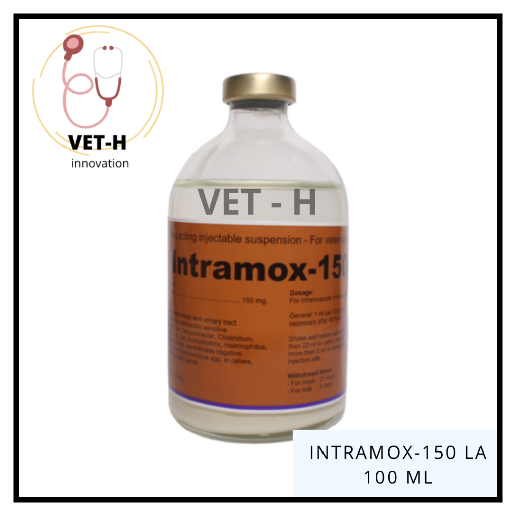 Jual Intramox-150 LA 100 ml TMC - Amoxycillin Long Acting Injection ...
