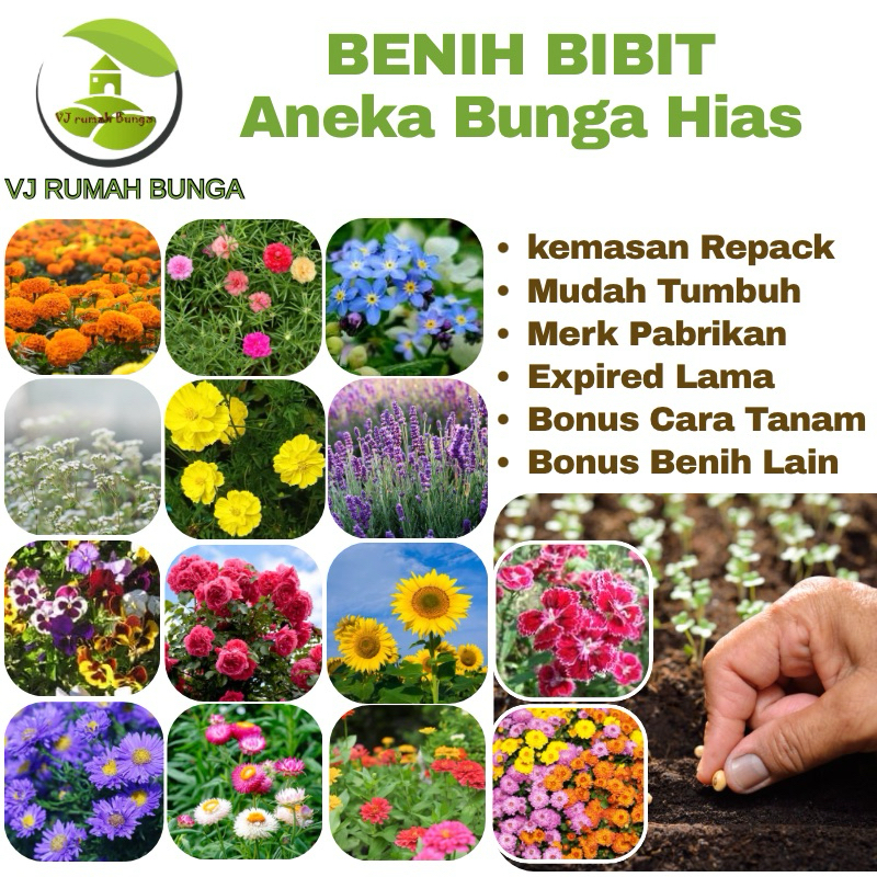 Jual VJ RUMAH BUNGA-Benih Bibit Bunga Hias Benih Bunga Unggul | Shopee ...