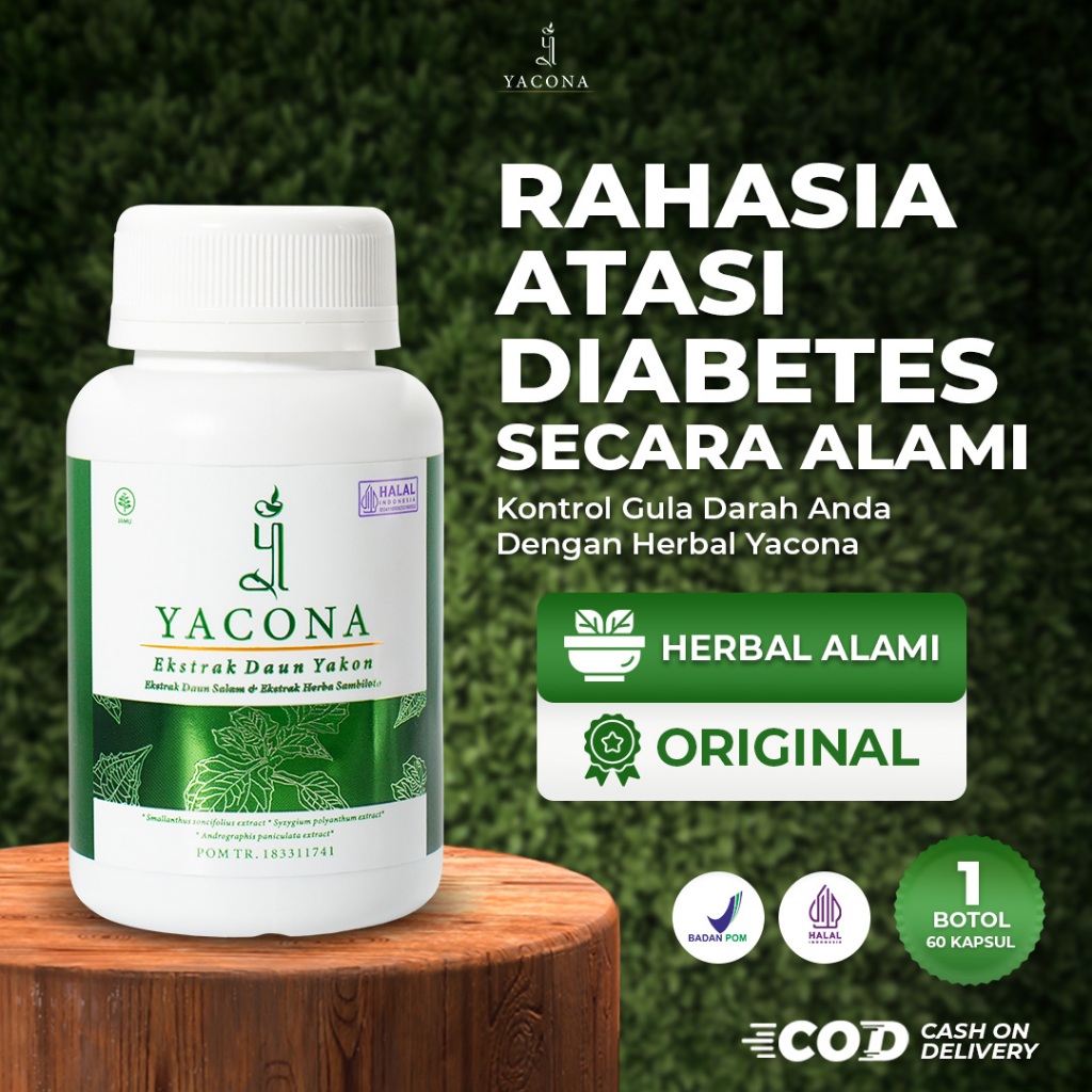 Jual Obat Diabetes Yacona Kapsul Diabetes Herbal Gula Darah Perbaiki ...