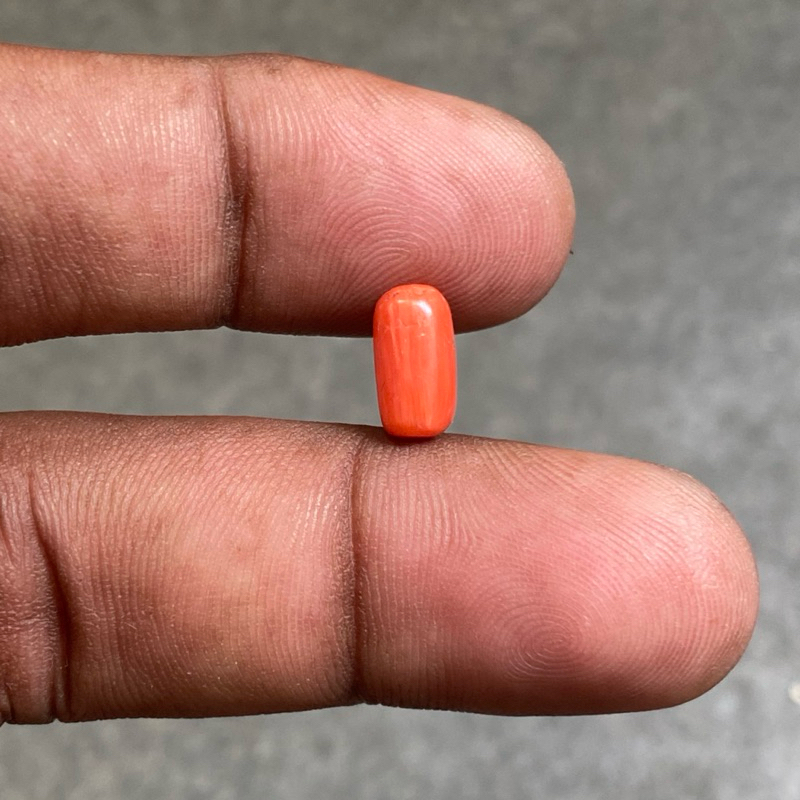 Jual Natural Red Coral Marjan Morocco batu marjan morocco ukuran kecil ...