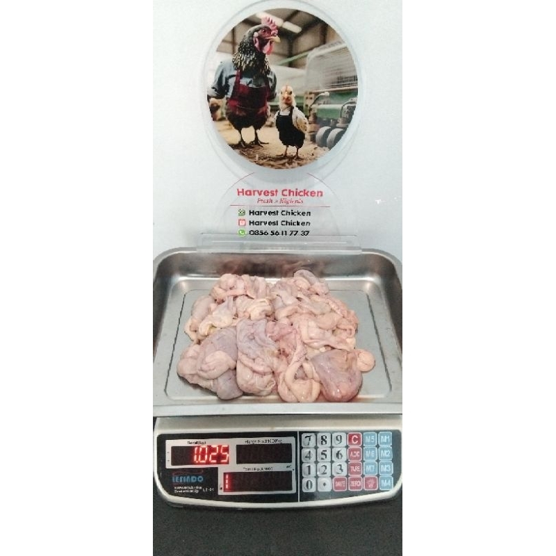 Jual URITAN AYAM / KANTONG TELUR / SALURAN AYAM (1 KG / FROZEN ...