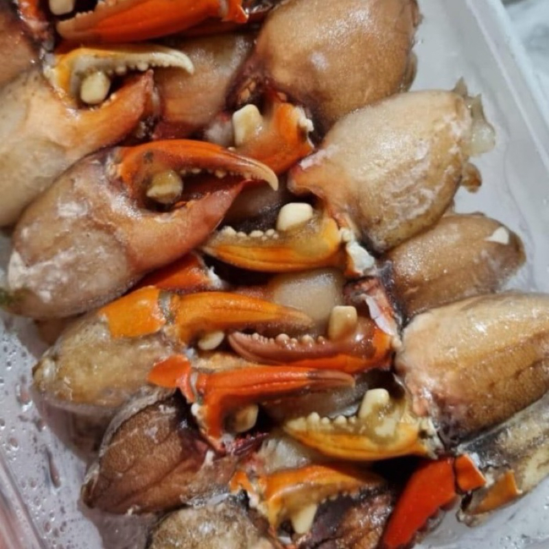 Jual Capit kepiting / capit kepiting bakau / capit kepiting kupas ...