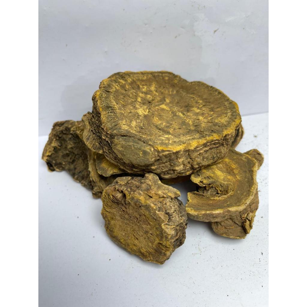 Jual Da Huang Zhi 大黄只 Rhubarb Root Radix Rhizoma Rhei - Tapal Kuda ...