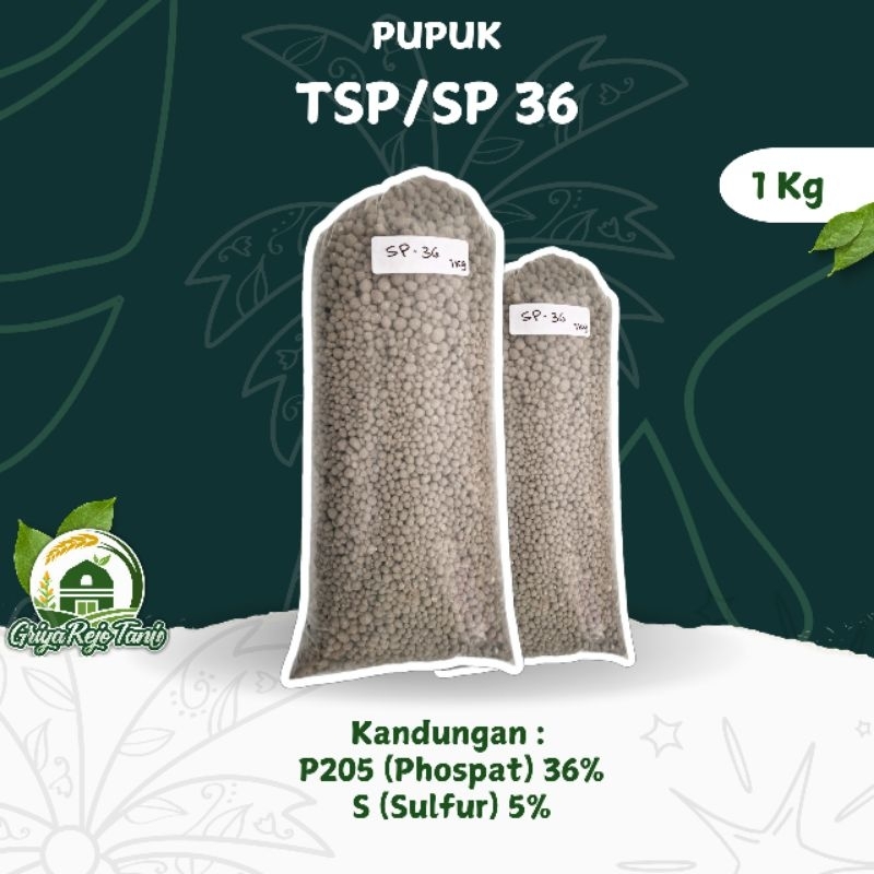 Jual pupuk TSP/SP 36 kemasan 1kg | Shopee Indonesia